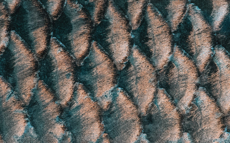 Understanding Fish Scales - Anchored Outdoors