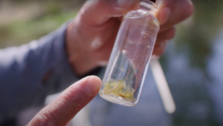 How and Why to Throat Pump a Fish: Unlock the Secrets of Fish Feeding ...