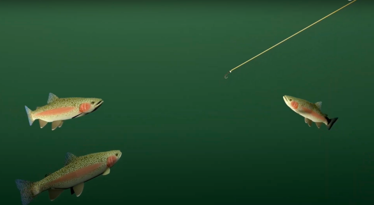 How to Make a Fish Bite When Stillwater Fly Fishing - Anchored Outdoors