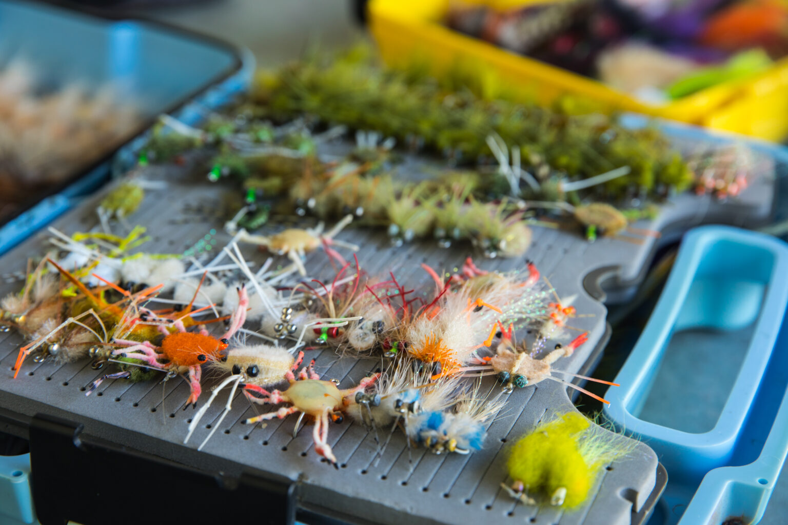 Permit Fishing Unveiled: Strategies, Challenges, and Rewards with Wil ...